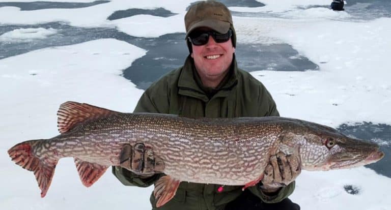 29 Northern Pike Fishing Tips You Need to Know – Northern Pike Fishing Tips