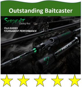 10 Best Pike Fishing Rods for Catching Pike – Northern Pike Fishing Tips