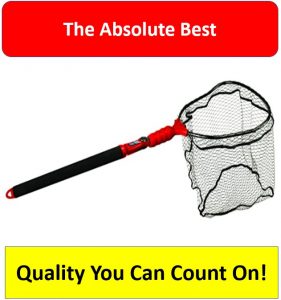 Best Northern Pike Fishing Nets: A Fisherman’s Full Buying Guide ...