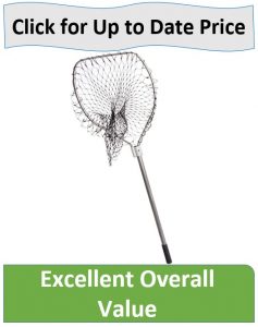 Best Northern Pike Fishing Nets: A Fisherman’s Full Buying Guide ...