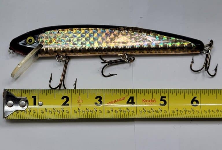 What Size Lure Is Best For Pike? – Northern Pike Fishing Tips