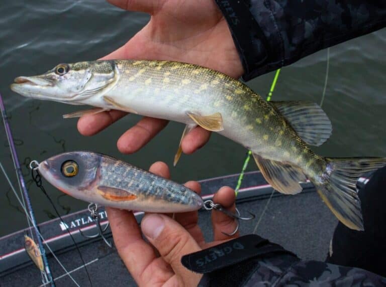 What Size Lure Is Best For Pike? – Northern Pike Fishing Tips